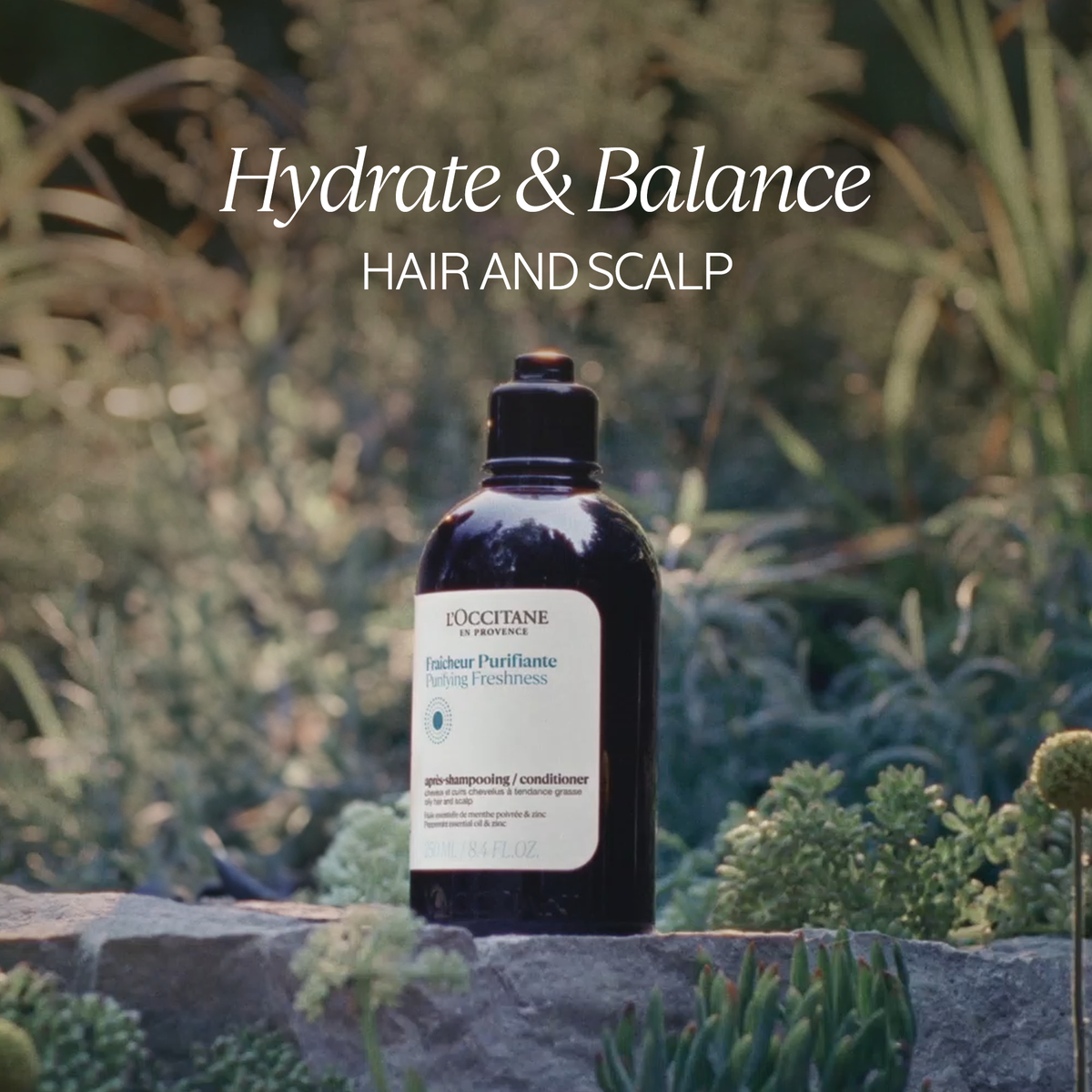 Purifying Freshness Conditioner | Hair Care