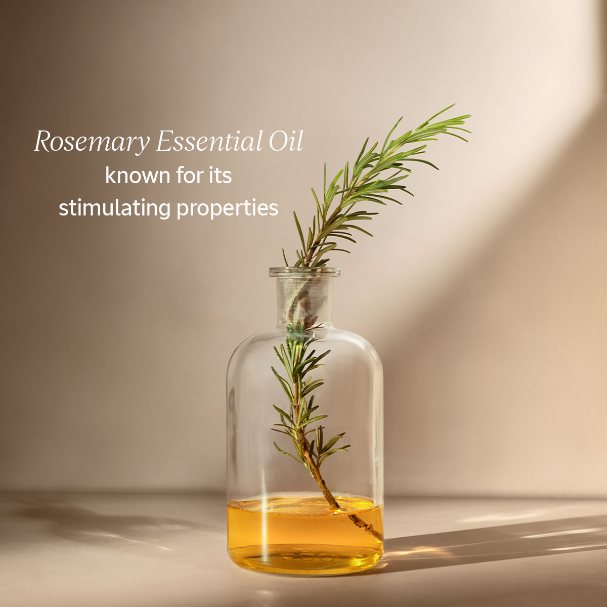Volume & Strength Shampoo | Shampoo
