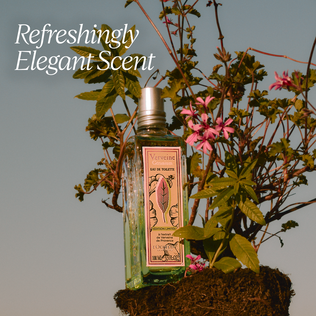 Verbena Geranium Eau De Toilette | Fragrances & Home
