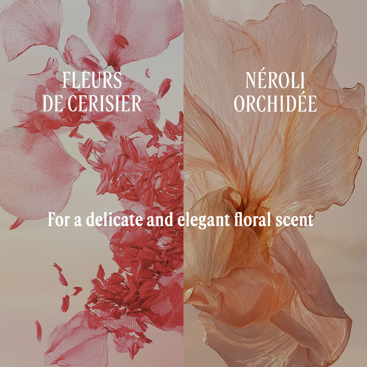 The Delightful Duo | Layering Fragrances